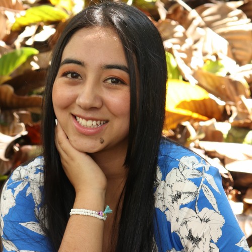 Stream Perfil estudiante investigador: Sara Melissa Mejía Zuluaga by ...