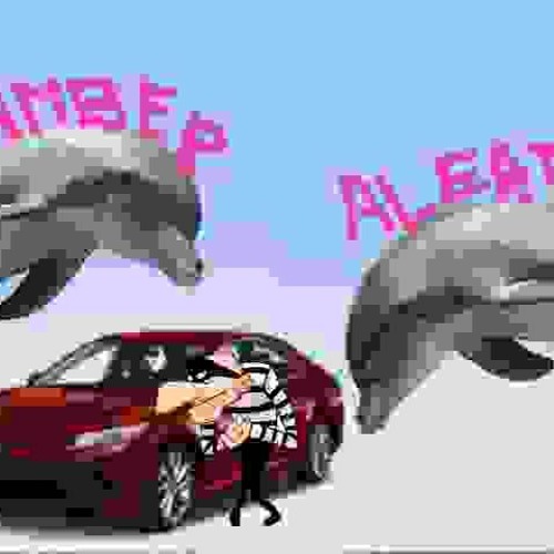 Stream Amber Alert by Gangsta Dolphin | Listen online for free on ...