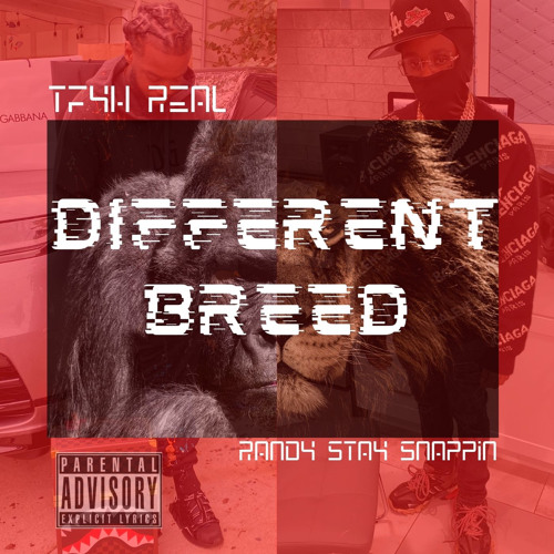 Stream Different Breed ft. Randy Stay Snappin by TFYH Real | Listen ...