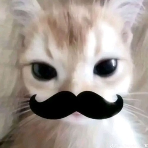 Stream obvious by icemop | Listen online for free on SoundCloud