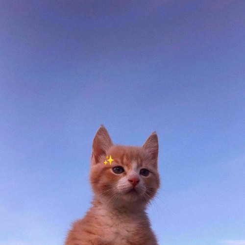 Stream Spy X Family Kigeki (Lofi) by Yagih Mael | Listen online for ...