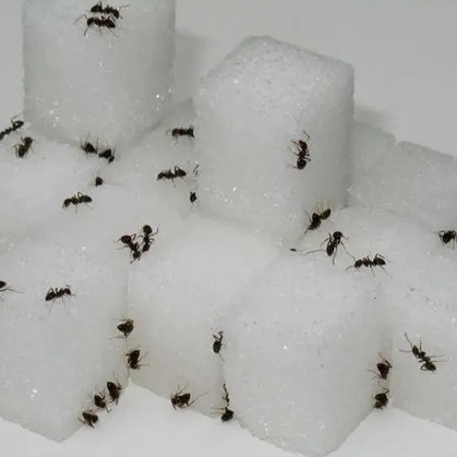 Stream 20231115 by SHIMBO | Listen online for free on SoundCloud