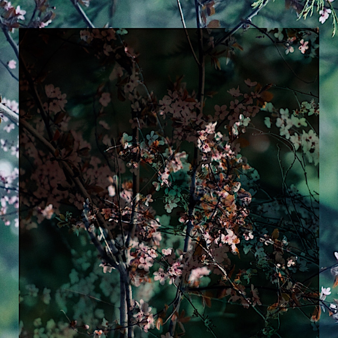 Stream Tears - Majiid Jordan x Mackin' Mike (REMIX) by Mackin' Mike ...