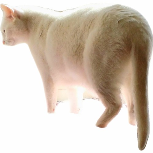 Stream Standing In Your Shoes - Demo by Norbut vs the World | Listen ...