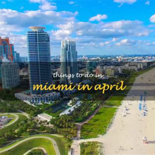 Stream Best Things To Do In Miami Florida April Tours Reviews by ...