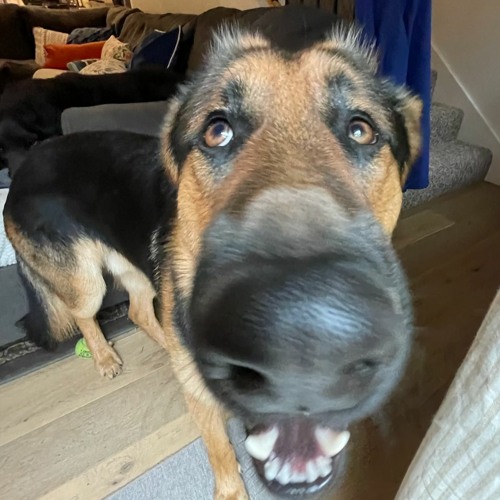 Stream Please Enjoy Your Stay by snerds | Listen online for free on ...