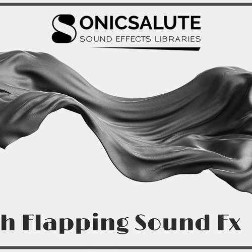 Stream Sonsal Flapp Demo by Sonicsalute.com | Listen online for free on ...