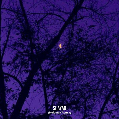 Stream Shayad (Future Bass Remix) by Melomex | Listen online for free ...