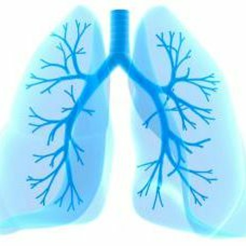 Stream episode Aparato respiratorio by Roy cabral Rivera podcast ...