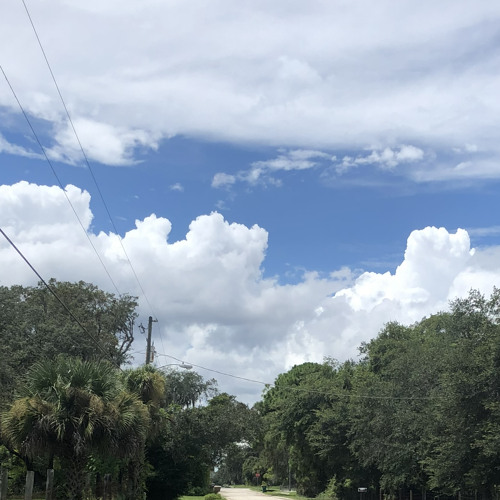 Stream Dim Light by Wyatt Mullins | Listen online for free on SoundCloud