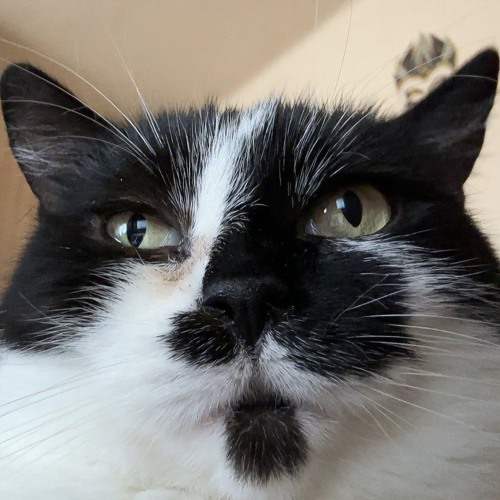 Stream i bought a used cdj 3000 from fb marketplace and the previous ...