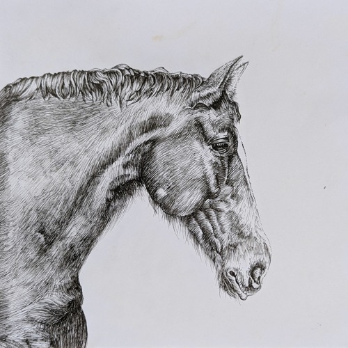 Stream episode January 14th In Asheville Year 2023 by Arabella Aab, 13 ...