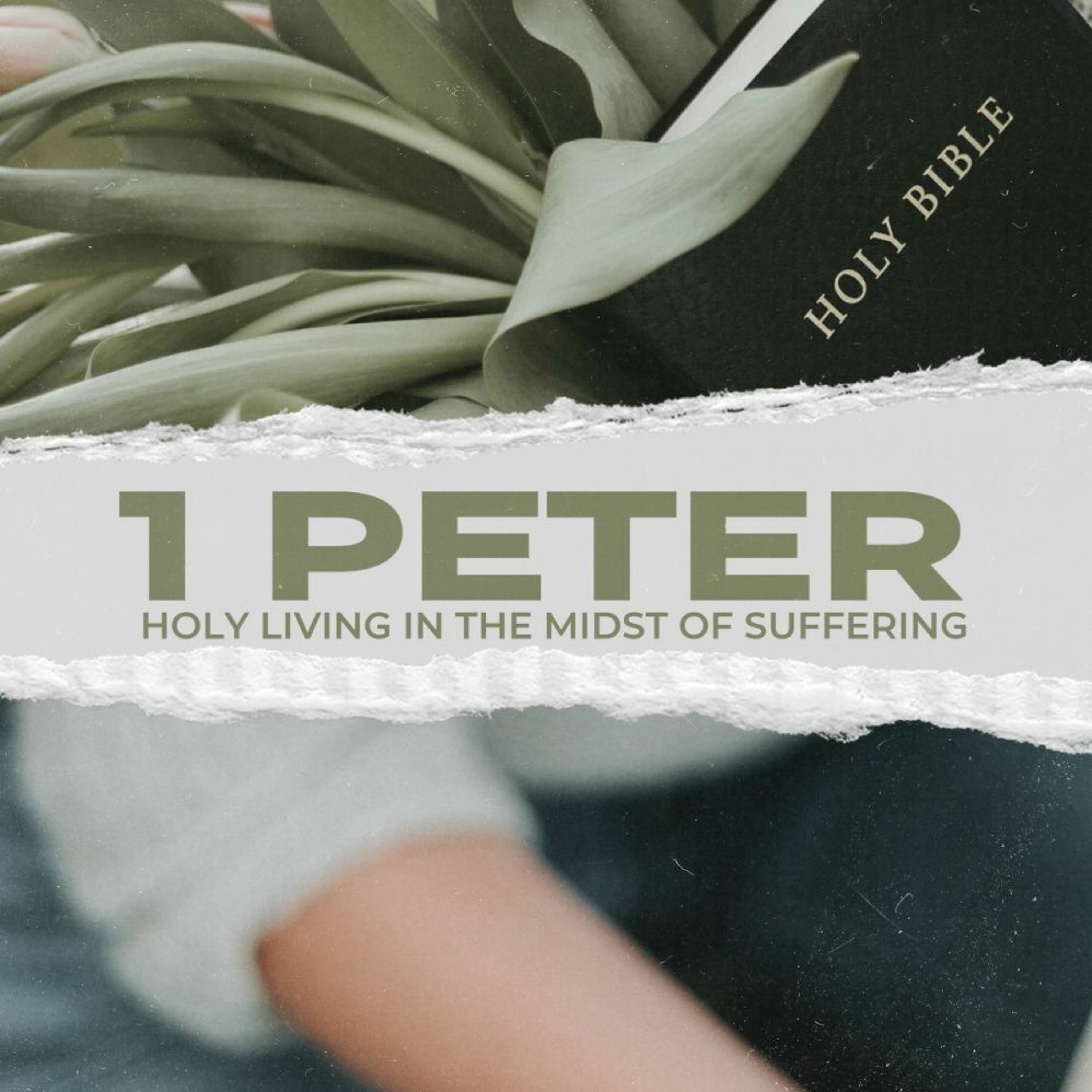 Sermon 1 1 23 1 Peter 3 13 17 Calvary Baptist Church Battle Creek