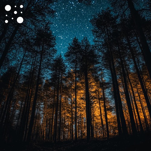 Stream Night Garden (feat. music for studying) by SoundScape Studio ...