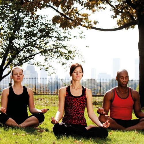 Stream episode The Multi-theory Model (MTM) of Health Behavior Change ...