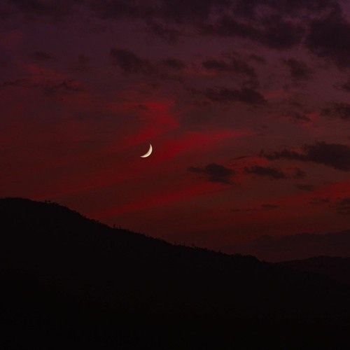 Stream COCO C - Million Years Ago (Adele Cover) by COCO C | Listen ...