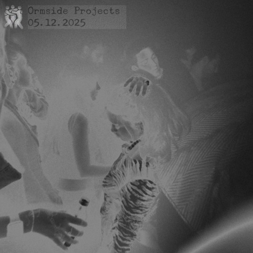 Stream Warmth live at Ormside Projects 2025 | Dinamarca, CalvoMusic ...