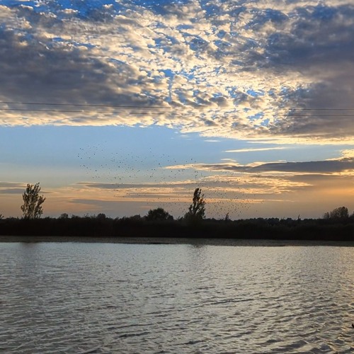 Stream Signs! by deeklan | Listen online for free on SoundCloud