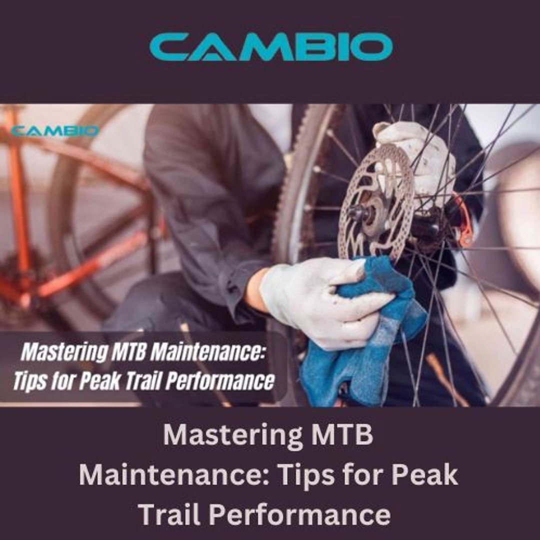 Stream Mastering MTB Maintenance Tips for Peak Trail Performance ...
