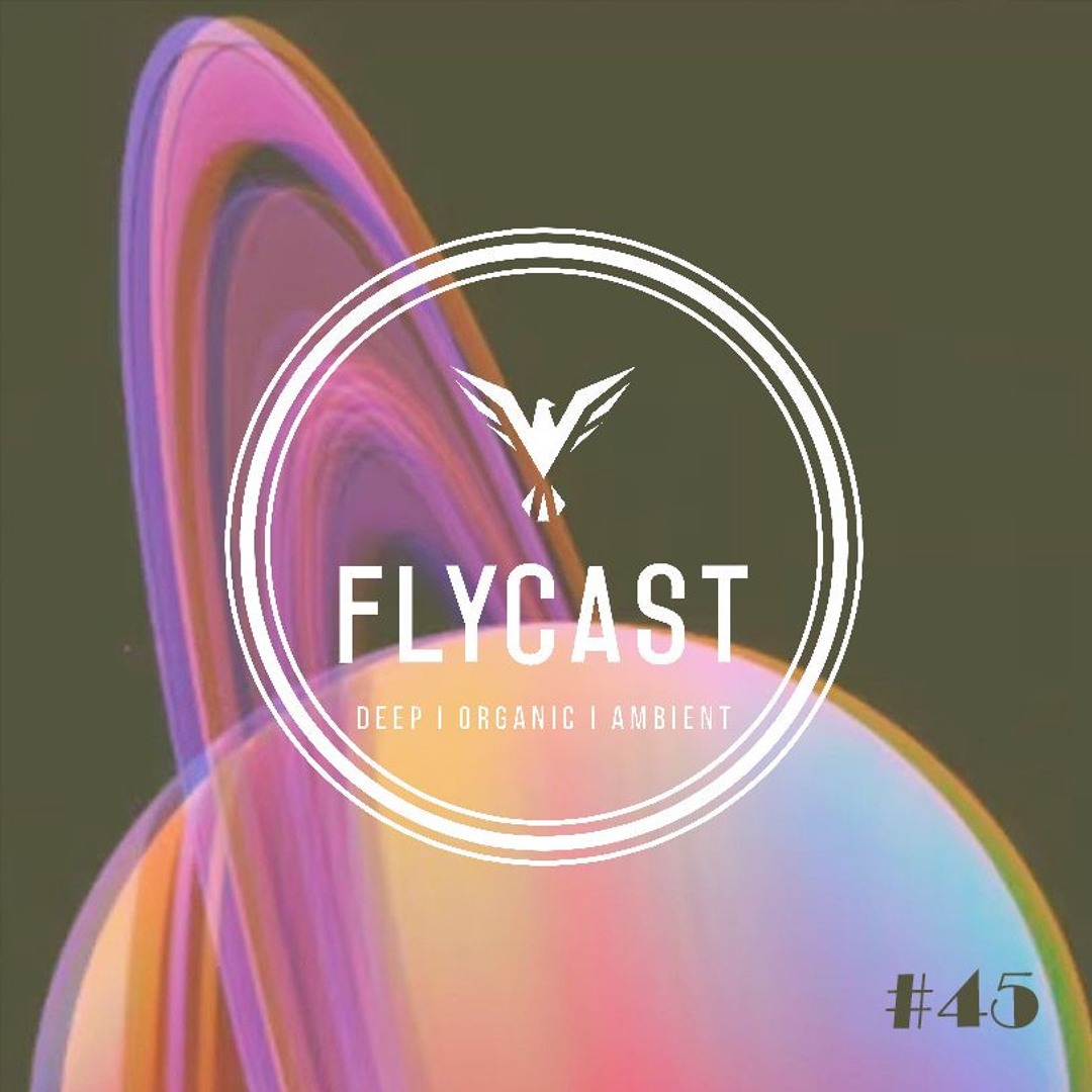Stream Flycast #45 by Flycast | Listen online for free on SoundCloud