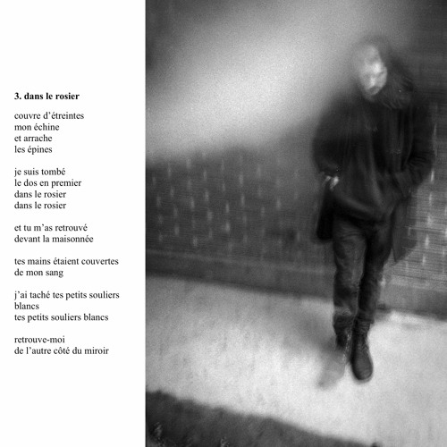 Stream Dans le rosier by Alexandre Duguay | Listen online for free on ...