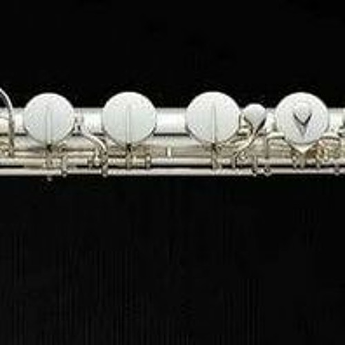 Stream Hollow Metal Tubes, for low flute trio (2016) by K. Natasha ...