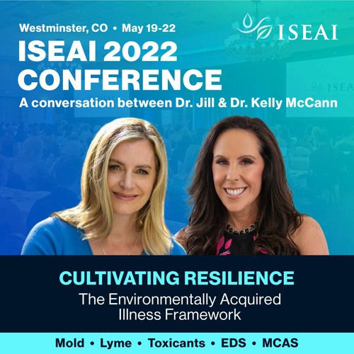 Stream episode Dr. Jill And Dr. Kelly discuss the 2022 ISEAI Conference ...