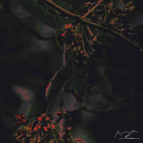 Stream Rivener by Wandr | Listen online for free on SoundCloud