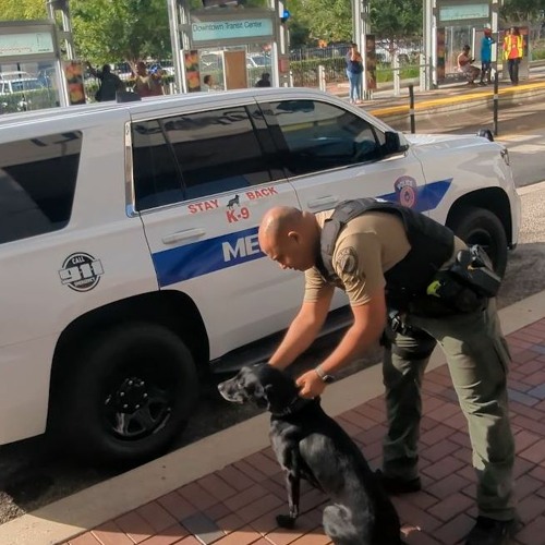 Stream Episode 61: Meet METRO PD's K-9 Unit — Your Safety is Our No. 1 ...