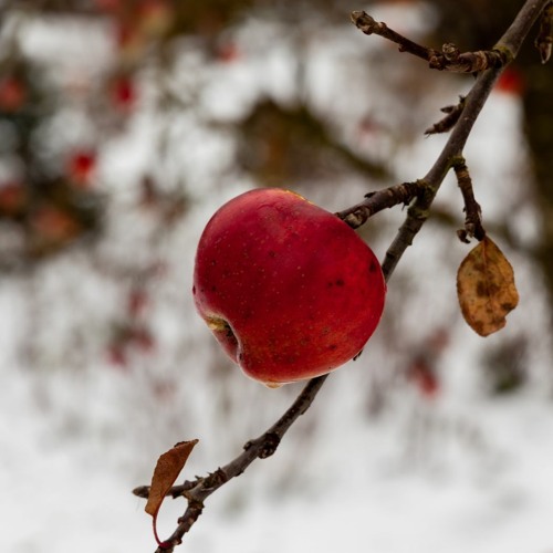 Stream Besondere Zeiten by Maria Rummel | Listen online for free on ...