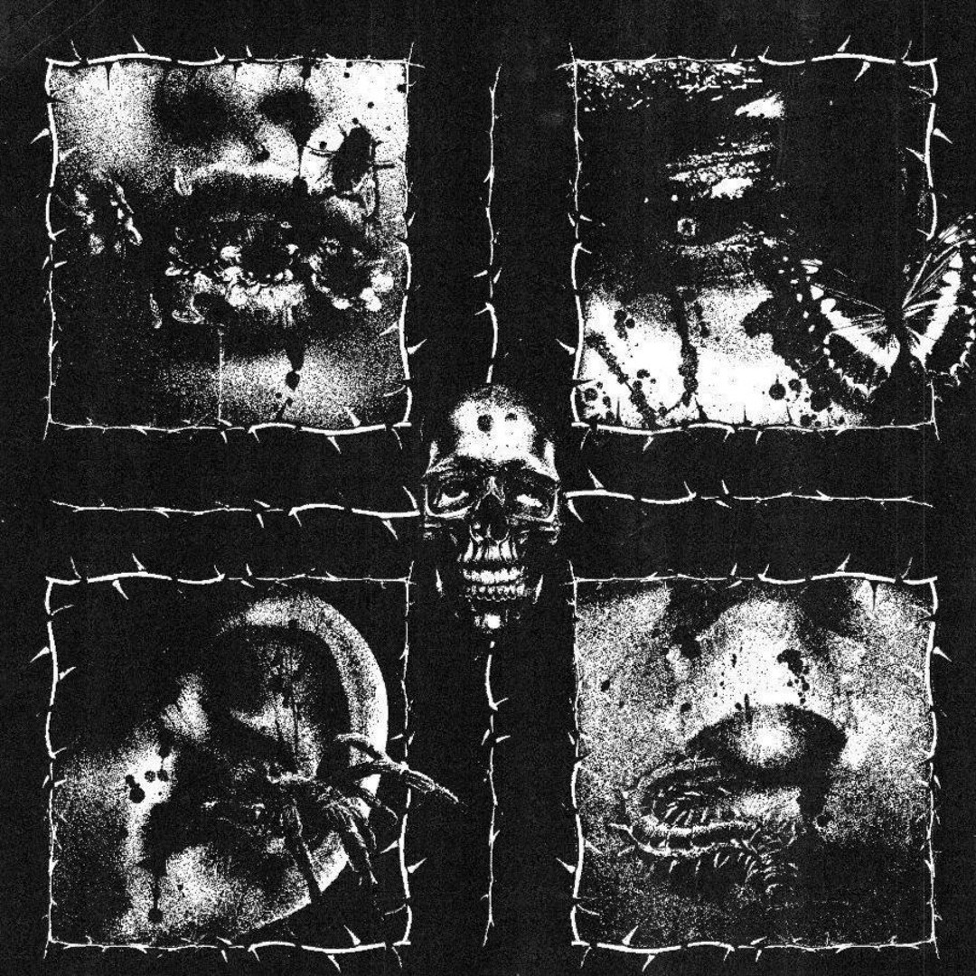 Stream DELUSIONAL (FULL TAPE) by DASHINE | Listen online for free on ...