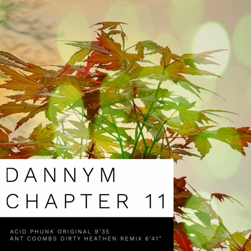 Stream Chapter 11 (Ant Coombs Dirty Heathen Remix) by DannyM | Listen ...