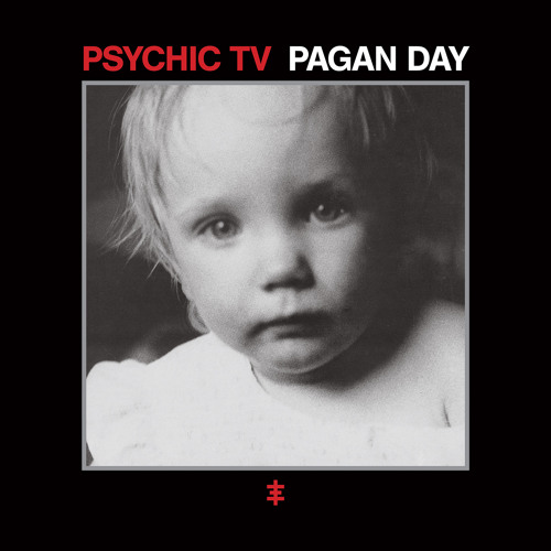 Stream Translucent Carriages by Psychic TV | Listen online for free on ...