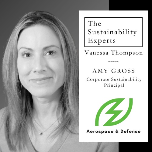 Stream episode Amy Gross | Unlock Corporate Sustainability Secrets in ... Stream episode Amy Gross | Unlock Corporate Sustainability Secrets in ...