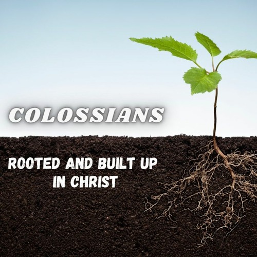 Stream Colossians #5 | Rooted and Built Up in Christ | God in Focus ...