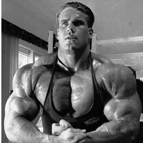 Stream THE BEST COMEBACK IN BODYBUILDING HISTORY - JAY 'QUAD STOMP ...