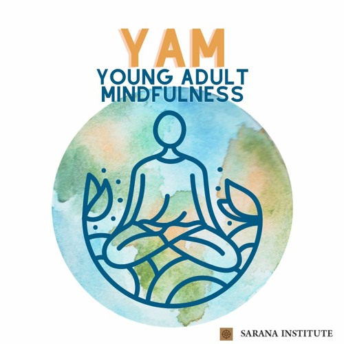 Stream Shamatha Practice by Sarana Institute | Listen online for free ...