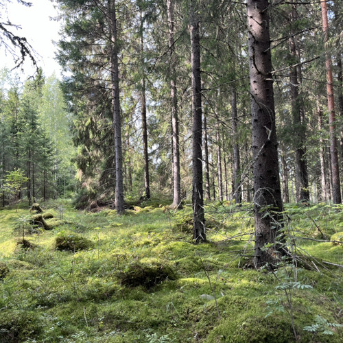 Stream inspector - september by inspector | Listen online for free on ...