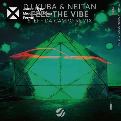 Stream James Hype vs. DJ Kuba & Neitan, Steff Da Campo - Feel The Vibe x Ferrari (HIMSHY Mashup ...