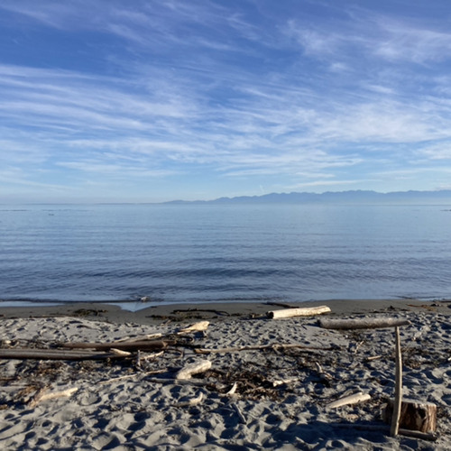 Stream Patriarch - Original by Trinity Althoff | Listen online for free ...