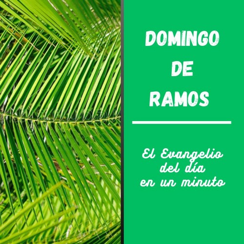 Stream Domingo de Ramos 2024 by pater fabian | Listen online for free ...