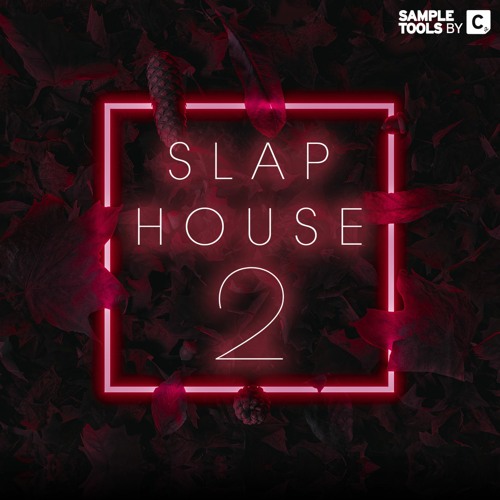 Stream Sample Tools By Cr2 | Listen to Slap House 2 | Sample Pack playlist online for free on ...