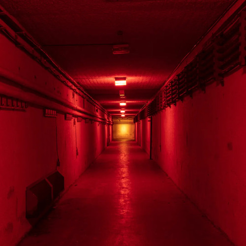 Stream Red Bunker X Satans Punishment (WØLFZ MASHUP) by WØLFZ | Listen ...