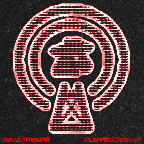 Stream RADIO:TRAUMA 012: FLIPPEDCROSSES by RADIO:TRAUMA | Listen online ...