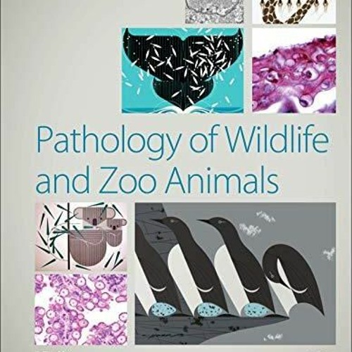 Stream ⚡️EBOOK⚡️ Pathology of Wildlife and Zoo Animals from ...