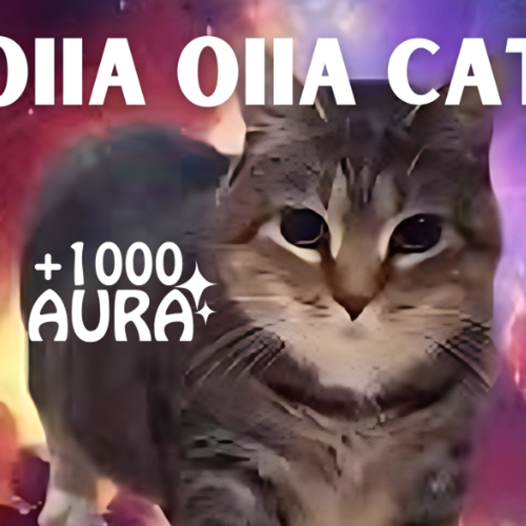 Stream OIIA OIIA Spinning Cat remix by SIGMAPAWS | Listen online for ...