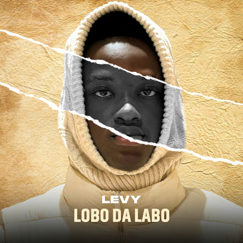 Stream Você by J Levy | Listen online for free on SoundCloud