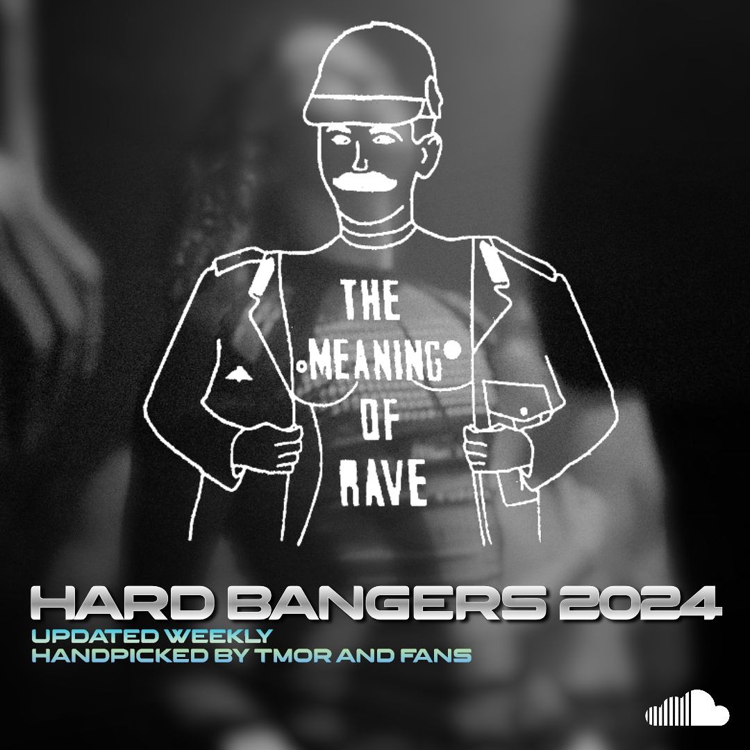 Stream The Meaning Of Rave | Listen to RAVE PICKS | HARD BANGERS 2024 ...