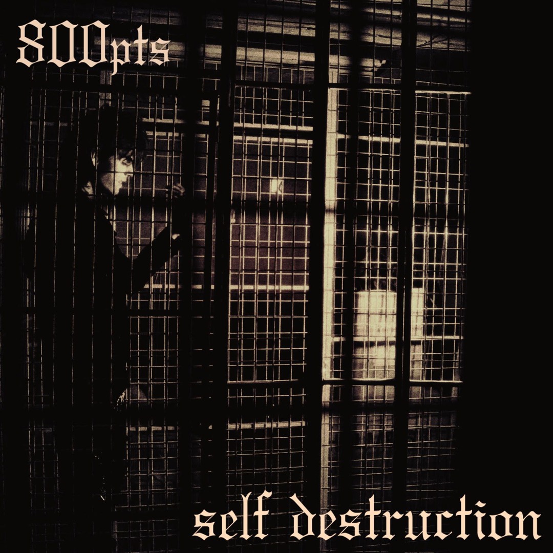 Stream 800pts | Listen to self destruction playlist online for free on ...