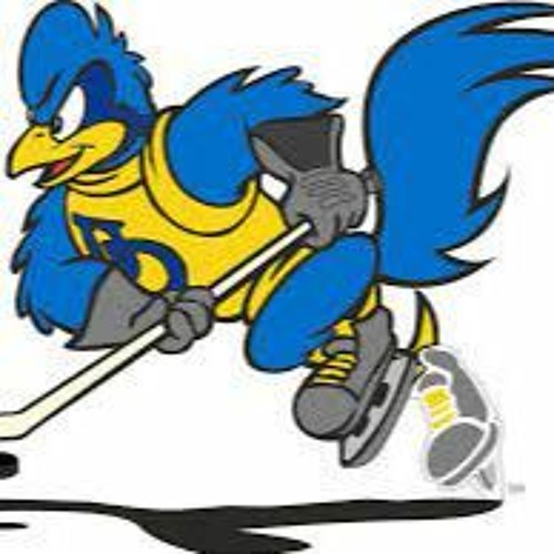 Stream UD Blue Hens Hockey 23-24 Warmup Mix by josh.flom | Listen ...